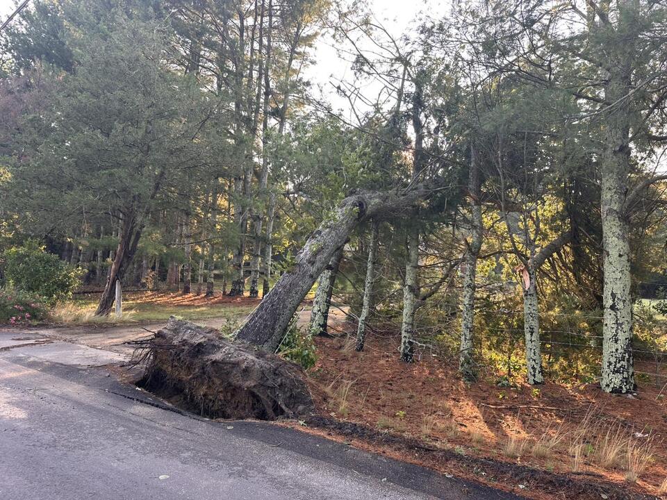 Slideshow: Daylight reveals extent of damage from severe storm in ...