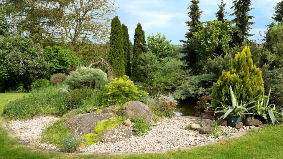 These 7 Fast-Growing Conifers Give You Privacy Fast – Without Any High ...