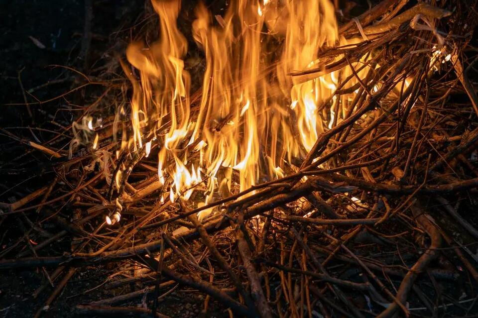 That Smoke is From Forest Fire in South Jersey - NewsBreak