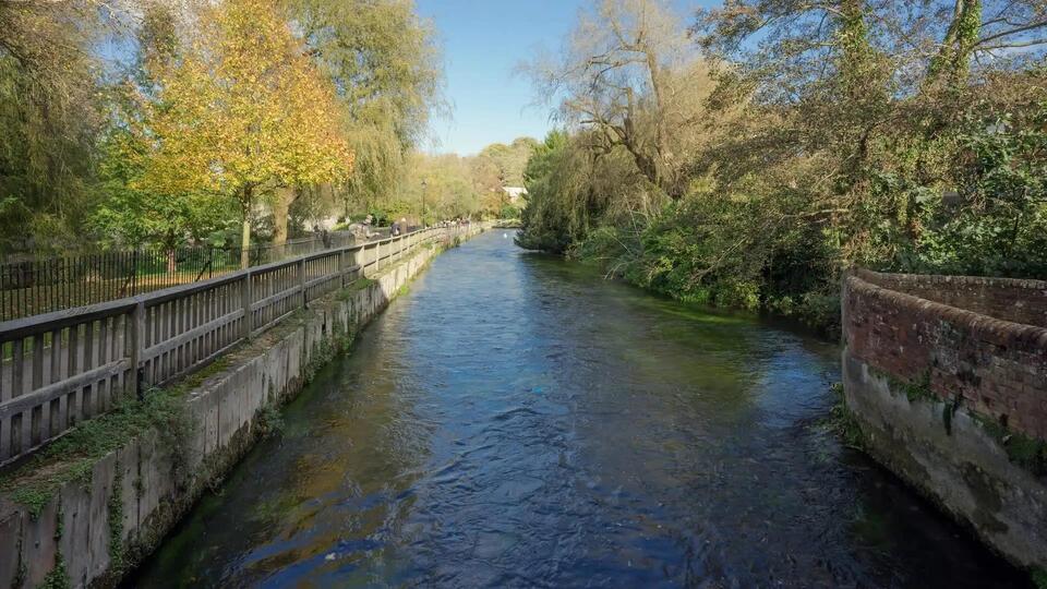 Researchers sound alarm after making disturbing discovery in popular ...