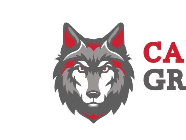 Canandaigua school district unveils new mascot