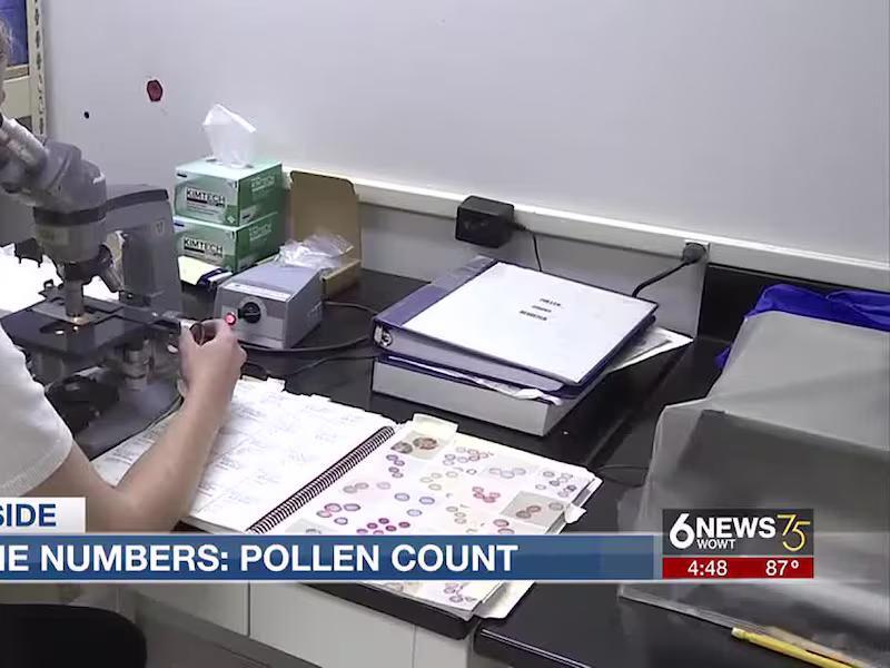 EXPLAINER: What is pollen count and how do we measure it?