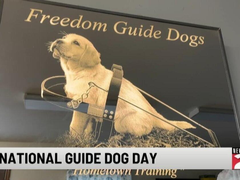 International Guide Dog Day—A Look at a Local Organization's Work with ...