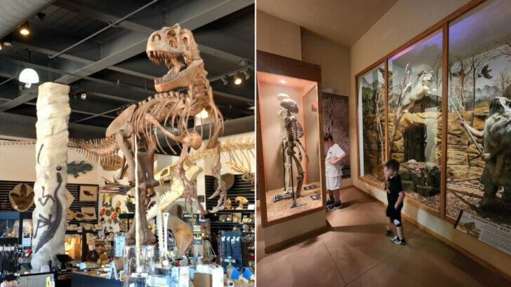 This Florida Beach Town Is Home To One Of The Largest Private Dinosaur ...