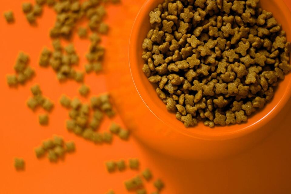 Cat Food Sold In Michigan Recalled After Reported Pet Illness - NewsBreak