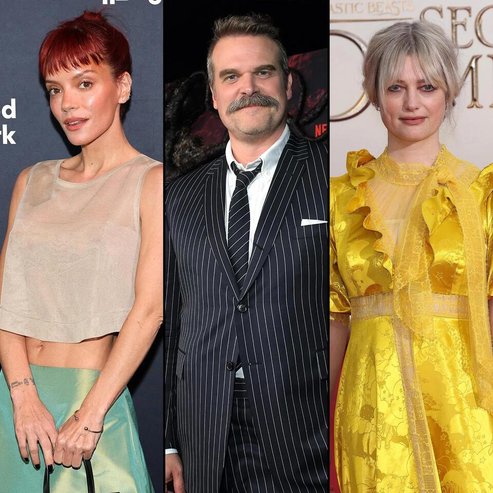 Lily Allen ‘Likes’ Post From David Harbour’s Ex Alison Sudol About Dealing With ‘Bullies ...