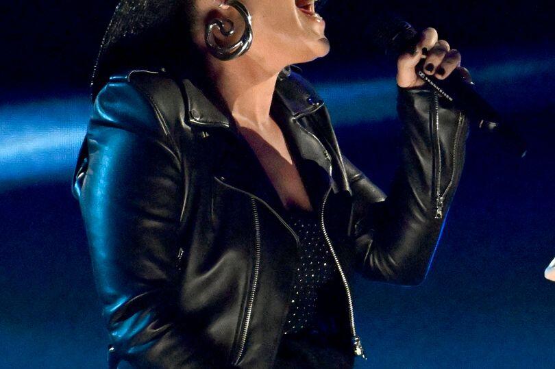Pink praised by fans for trans inclusivity at FireAid concert - 'decent ...