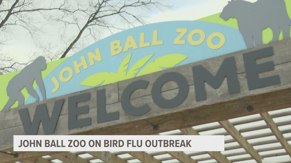 John Ball Zoo explains precautions taken to protect its animals from ...
