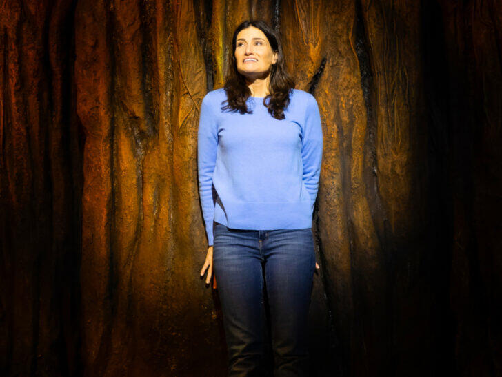 Idina Menzel Will Return to Broadway in