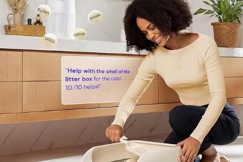 The viral LEVOIT air purifier can freshen any room fast, and is now ...