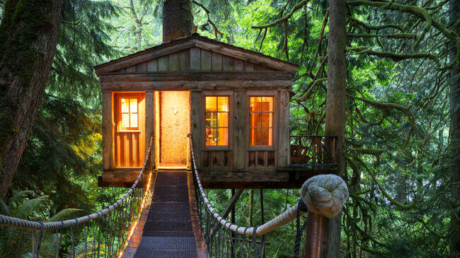 World's Largest Treehouse Resort Opening In Tennessee - NewsBreak