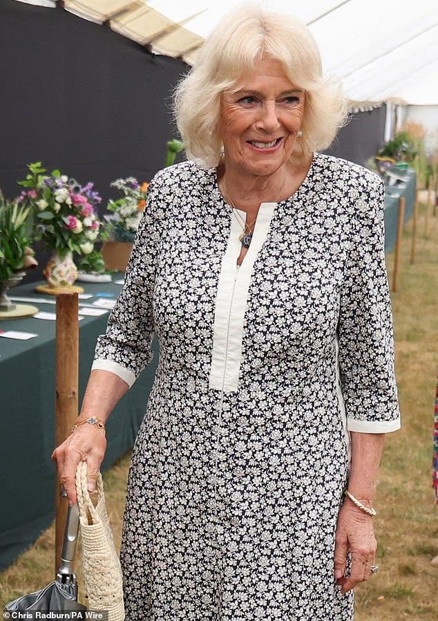 Queen Camilla reveals 'terrible' wasp infestation plaguing Sandringham ...