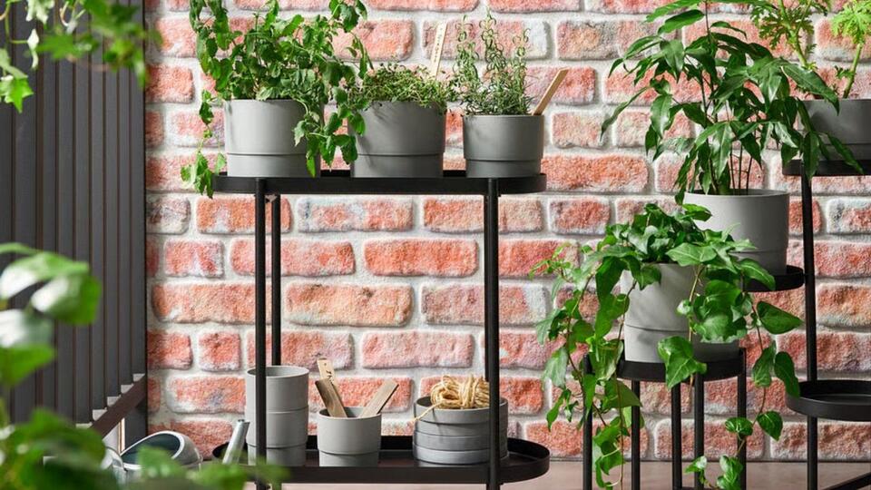 IKEA's Sleek Plant Stand is Versatile, Affordable, and Stylish – if You ...