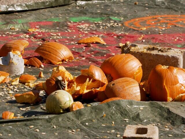Santa Maria’s pumpkin smash event turns holiday waste into compost ...