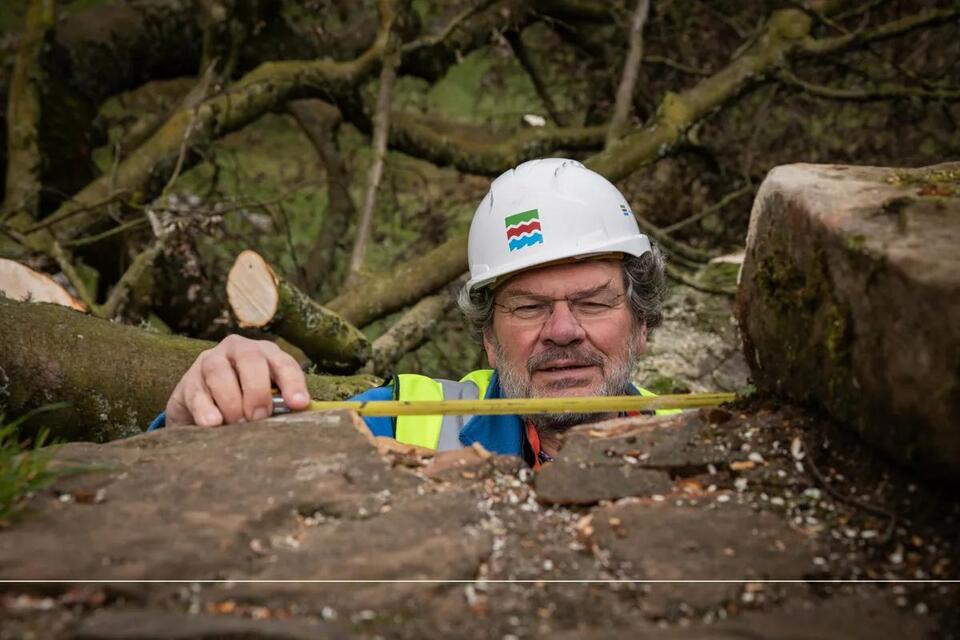 Age of Sycamore Gap tree finally revealed after Historic England ...