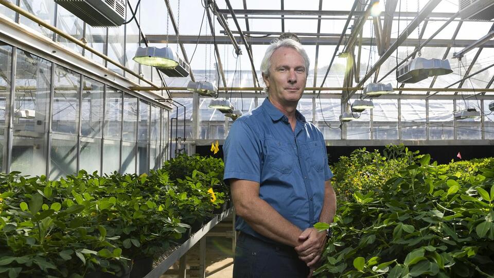 How UGA’s Scott Jackson is reimagining crops with synthetic biology ...