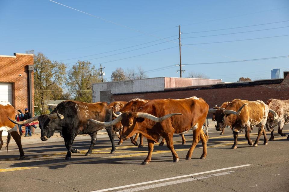Exciting Cowboy Christmas Parade Returning To The OKC Stockyards ...