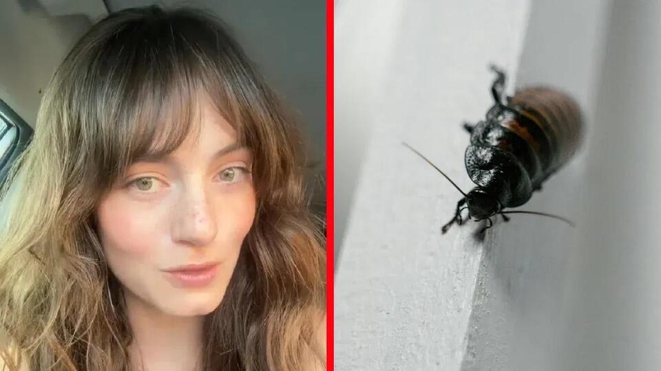 Florida Nurse Witnesses Cockroaches in Ears Twice in a Week, ‘I Can ...