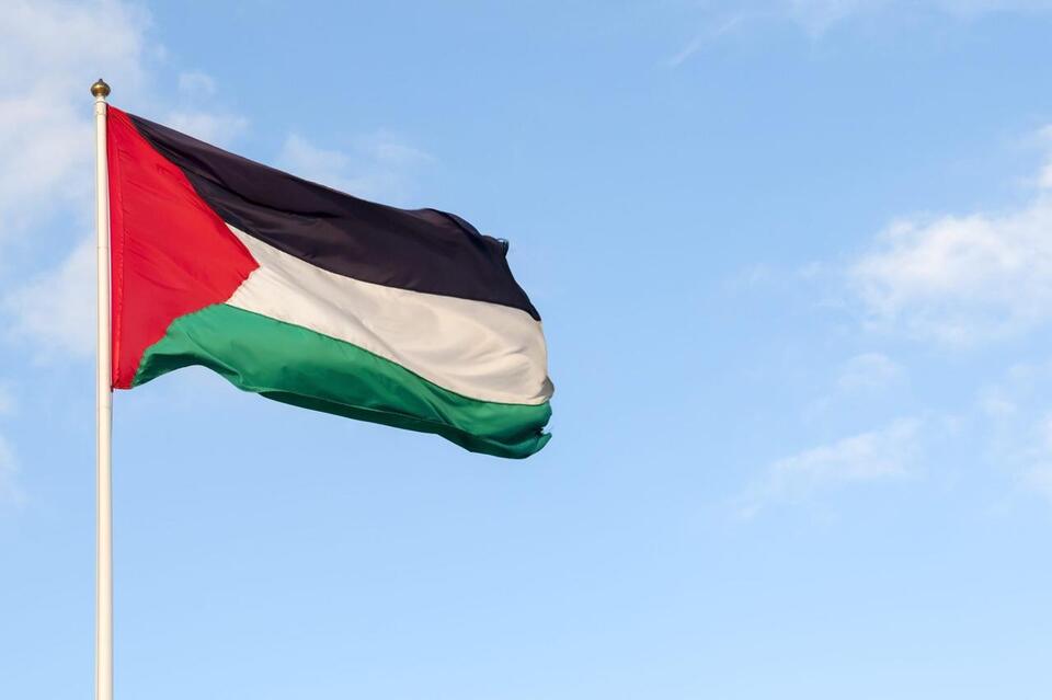 What is the meaning of the Palestinian flag: history and colors of a ...