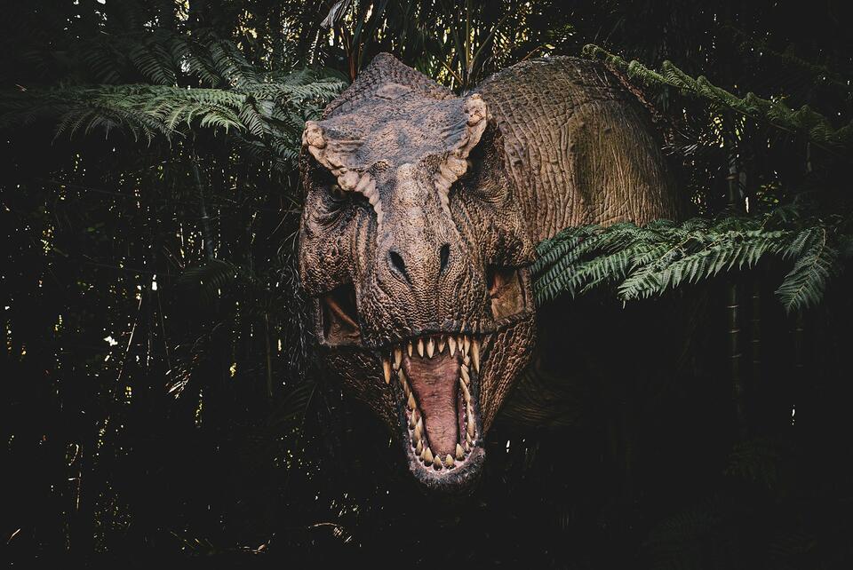 How Dr. Stephen Brusatte Helped the World Reimagine T. Rex - NewsBreak
