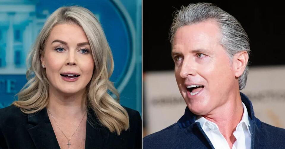 Gavin Newsom Trolls Karoline Leavitt With Savage Photo After She ...