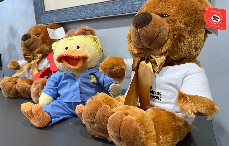 How Bonnie Freeman’s legacy continues to fight childhood cancer through ...