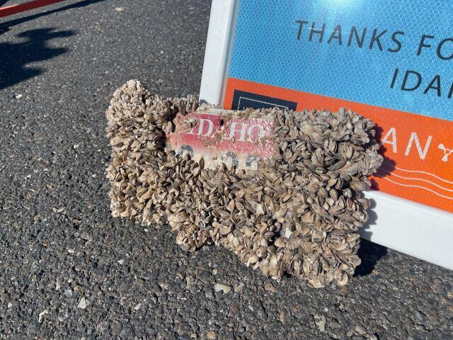 New laws in Idaho will help fight aquatic invasive species - NewsBreak