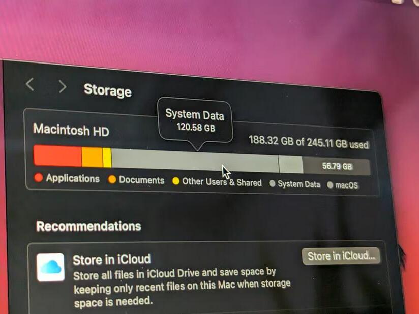 Why Is "System Data" Taking Up So Much Space on Your Mac?