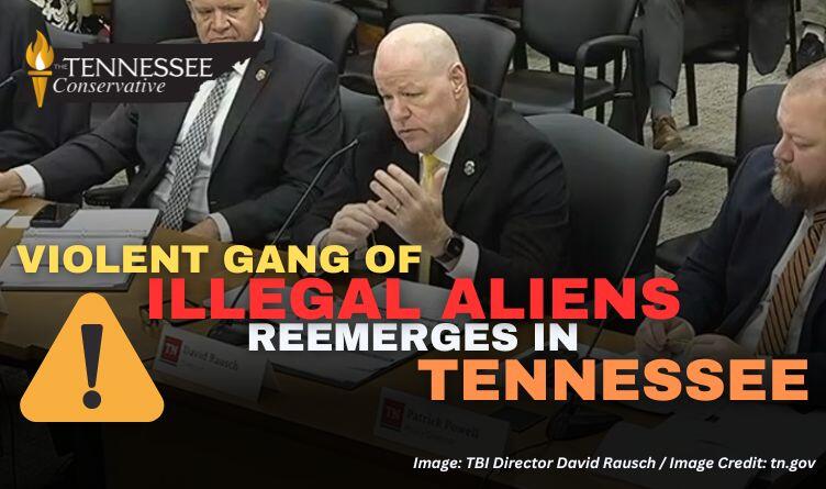 Violent Gang Of Illegal Aliens Reemerges In Tennessee - NewsBreak