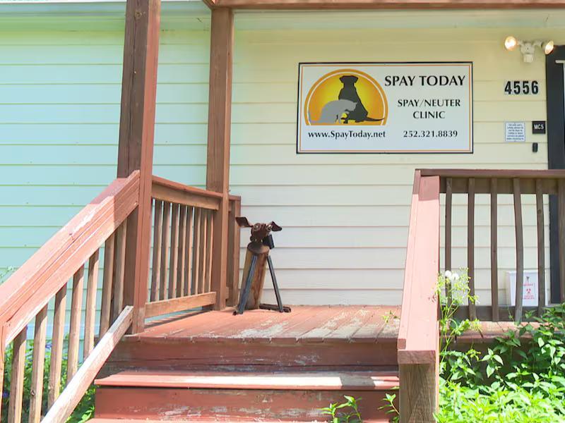 Spay Today in Greenville ceases operations after 20 years