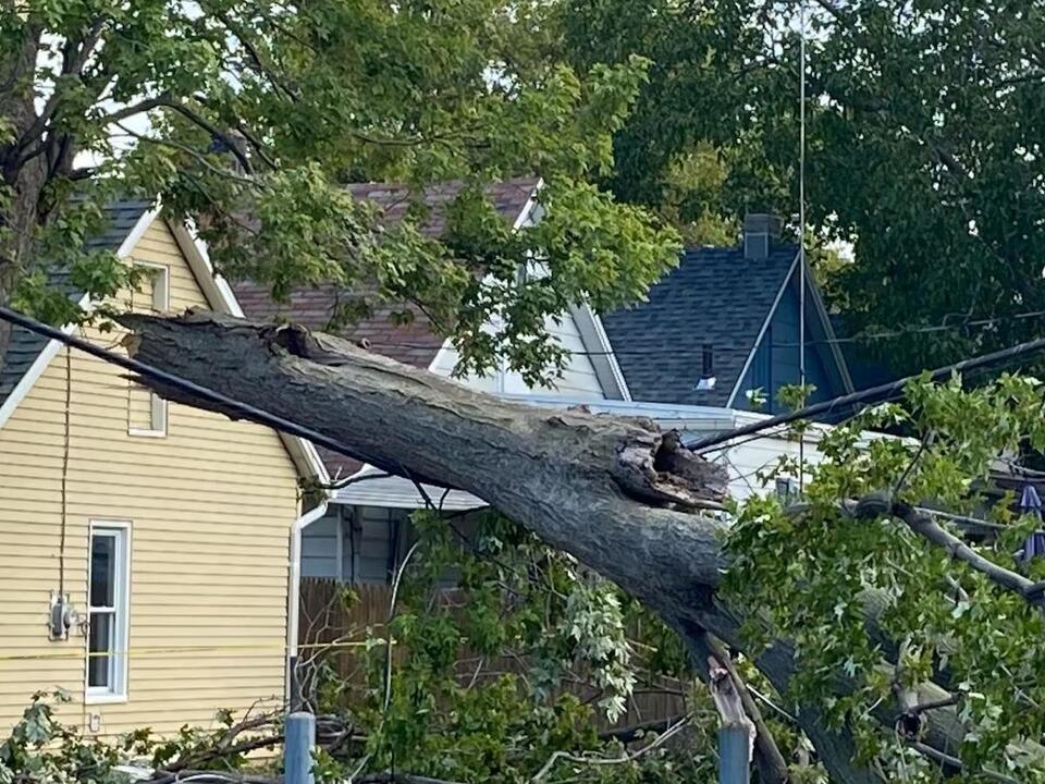 Downed trees knock out power for thousands after Tuesday night storms