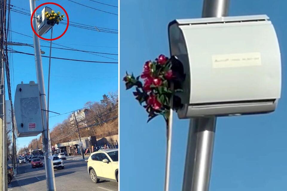 NYC drivers thwart speed cameras by covering lenses with fake flowers ...