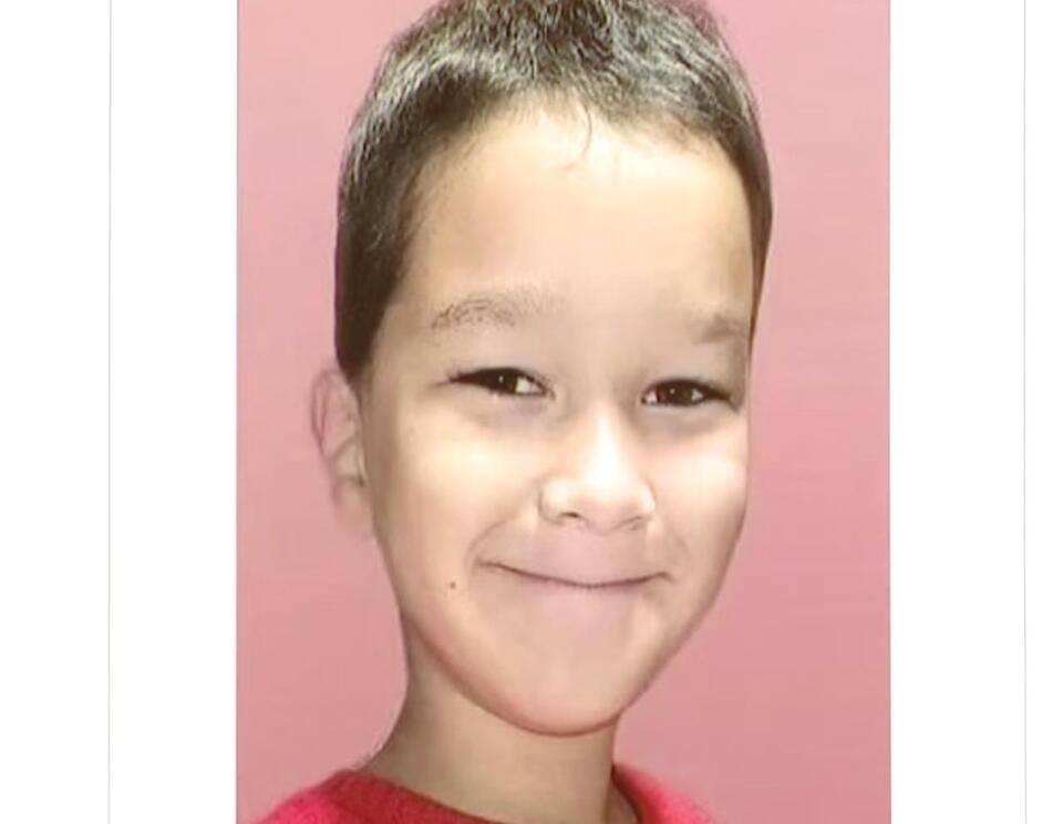 ‘No warning signs’ before Great Dane mauled Portland 6-year-old to ...