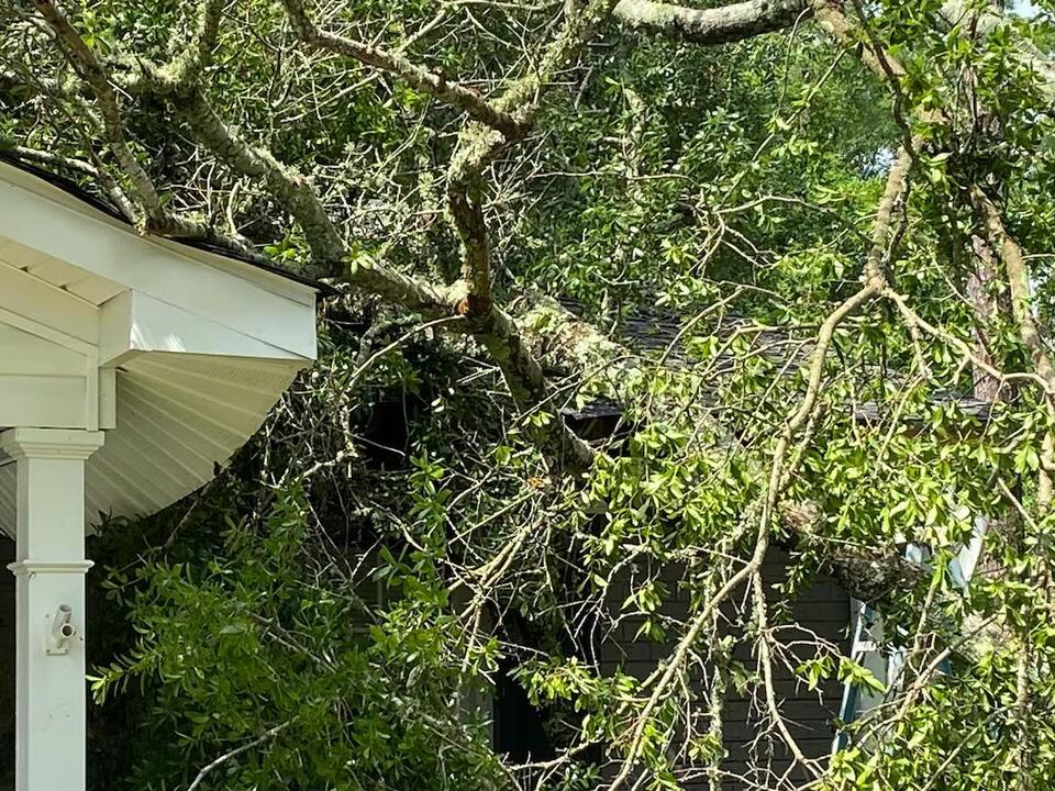 ‘Almost tornado-like’: Overnight storms leave damage, downed trees in ... ‘Almost tornado-like’: Overnight storms leave damage, downed trees in ...