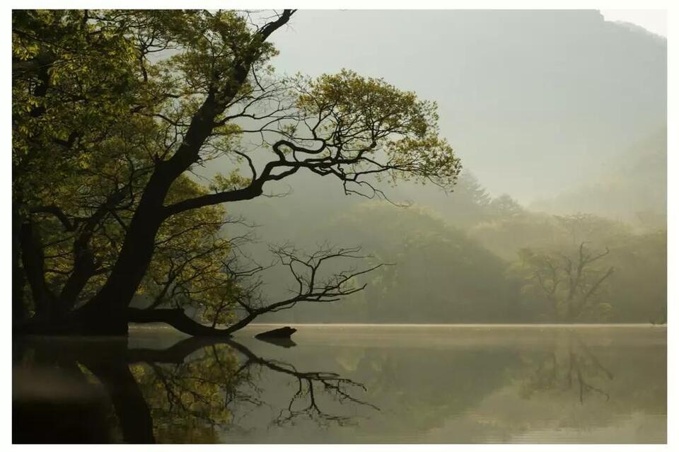 Decades-Old Murders, Disappearances Along Idaho Road Unsolved - NewsBreak