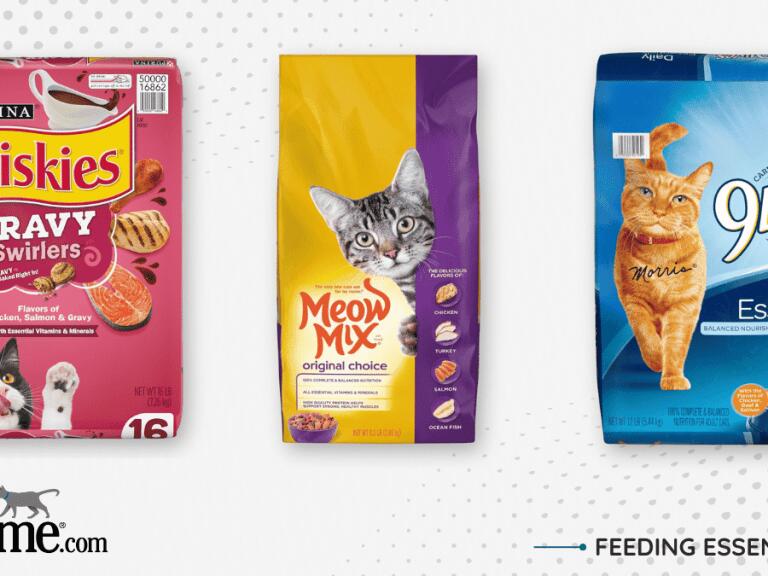 7 Best Dry Cat Foods for Your Feline Friend in 2024
