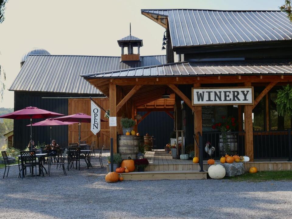New Harvest Winery Opens in Hamilton - NewsBreak