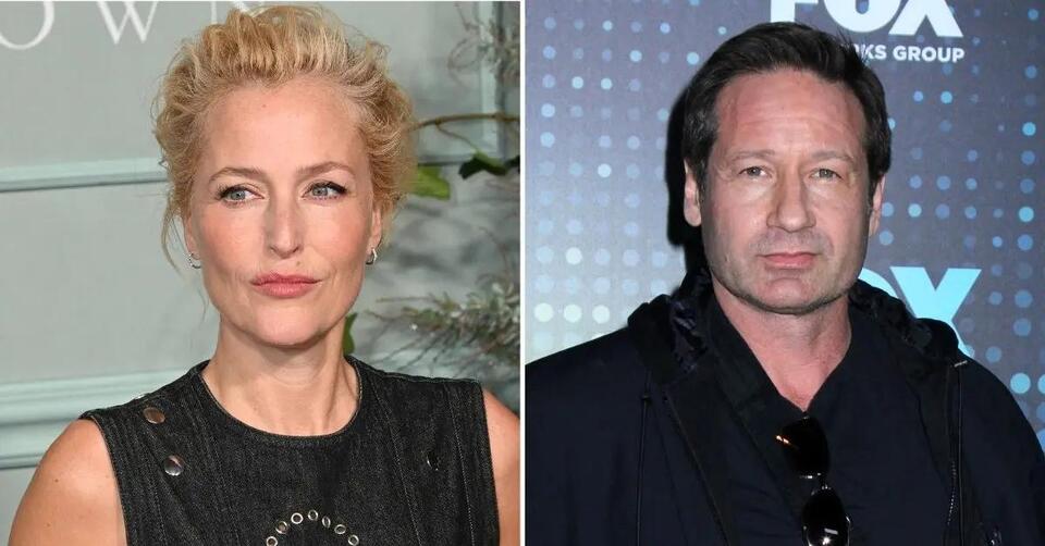The Ex-Files! Gillian Anderson Reveals 'Complicated Relationship' With ...