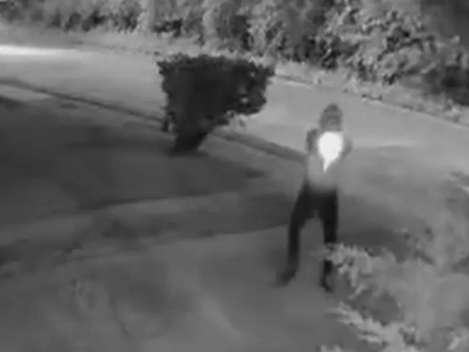 75-year-old Dallas woman's home shot 100+ times 75-year-old Dallas woman's home shot 100+ times