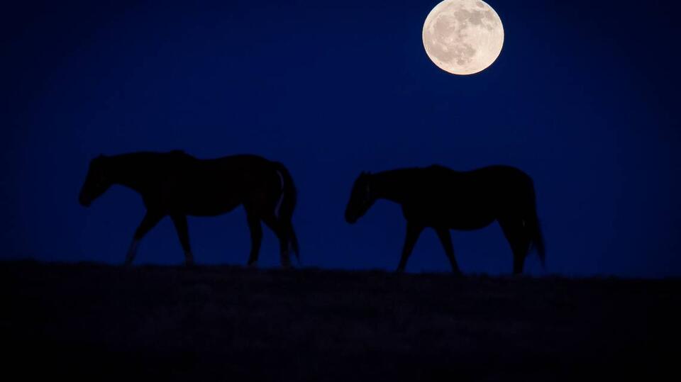 A pink moon will peak soon over Ohio, then a meteor shower. When to see ...