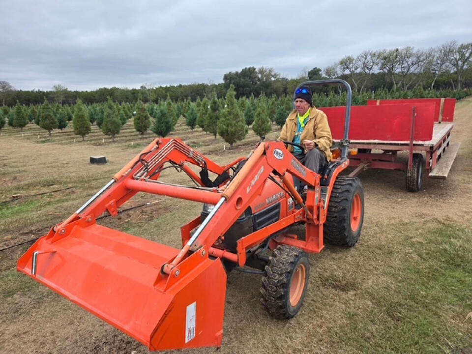 A visit to a Texas Christmas tree farm is a tradition for some - NewsBreak