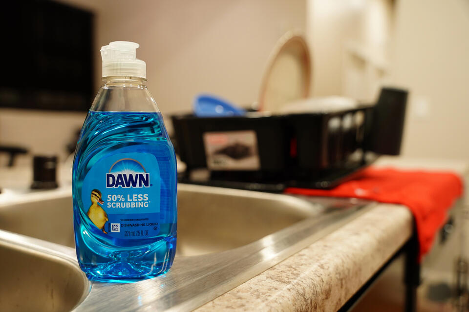 The boldest things people are doing with Dawn dishwashing liquid (it’s ...