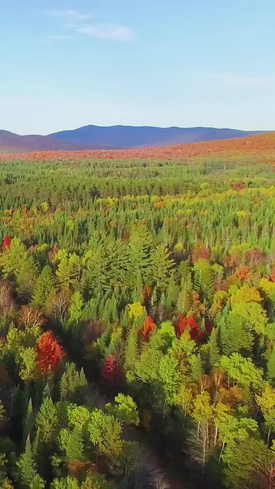 Man Experiences TERRIFYING Alien Abduction Ancient Aliens Special ...