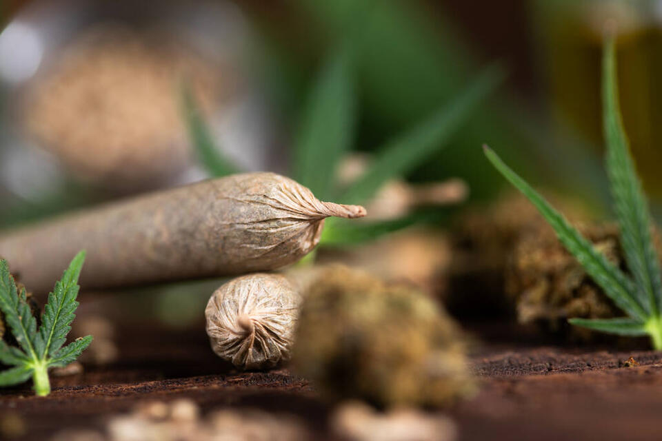 Wisconsin Governor Includes Marijuana Legalization in 2025-2027 Budget ...