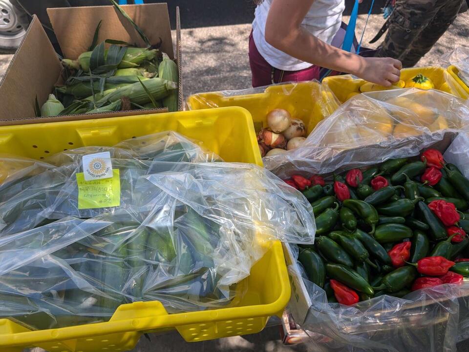 SJC Harvest Food Hub & Kitchen opens - NewsBreak