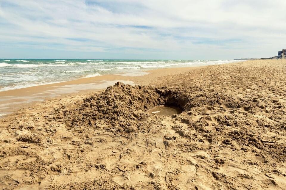‘Digging your own grave’: Maryland lifeguards warn of the hidden danger ...