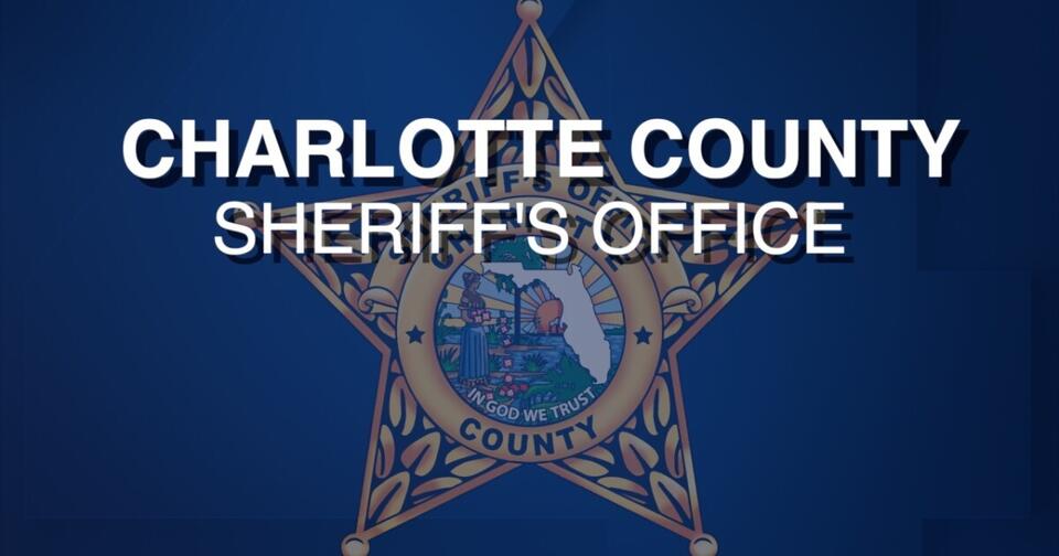 Traffic Chaos: Kings Highway Comes to a Screeching Halt After Multi ...