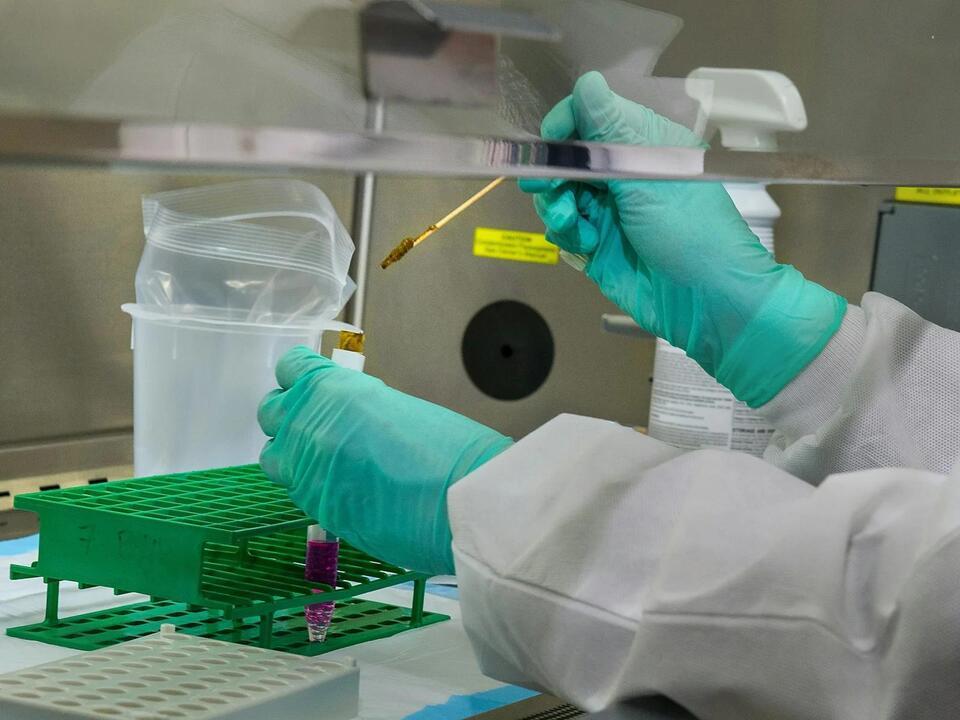 Microbial Forensics: How Scientists Use Microbes to Solve Crimes ...