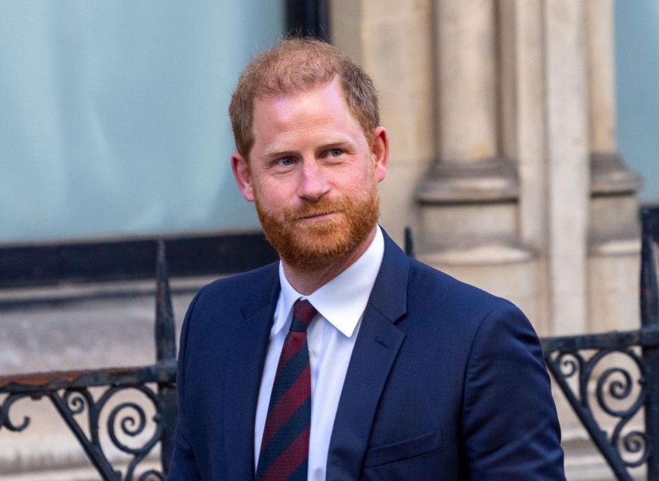 Harry slammed for ‘complete nonsense’ by ex-Scotland Yard boss over ...