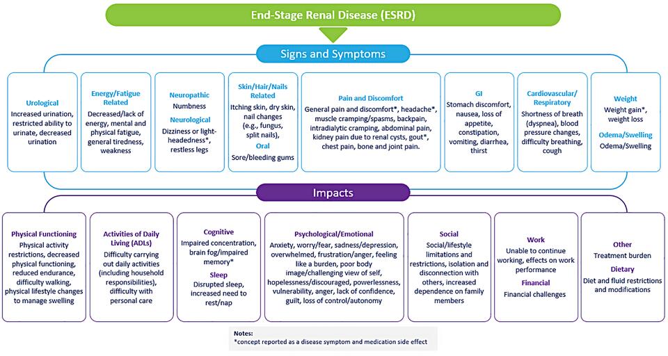 A qualitative exploration of the patient disease and treatment burden ...
